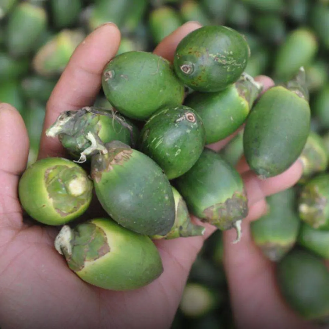 4 frutas do dia a dia que médicos alertam que podem estimular o ...